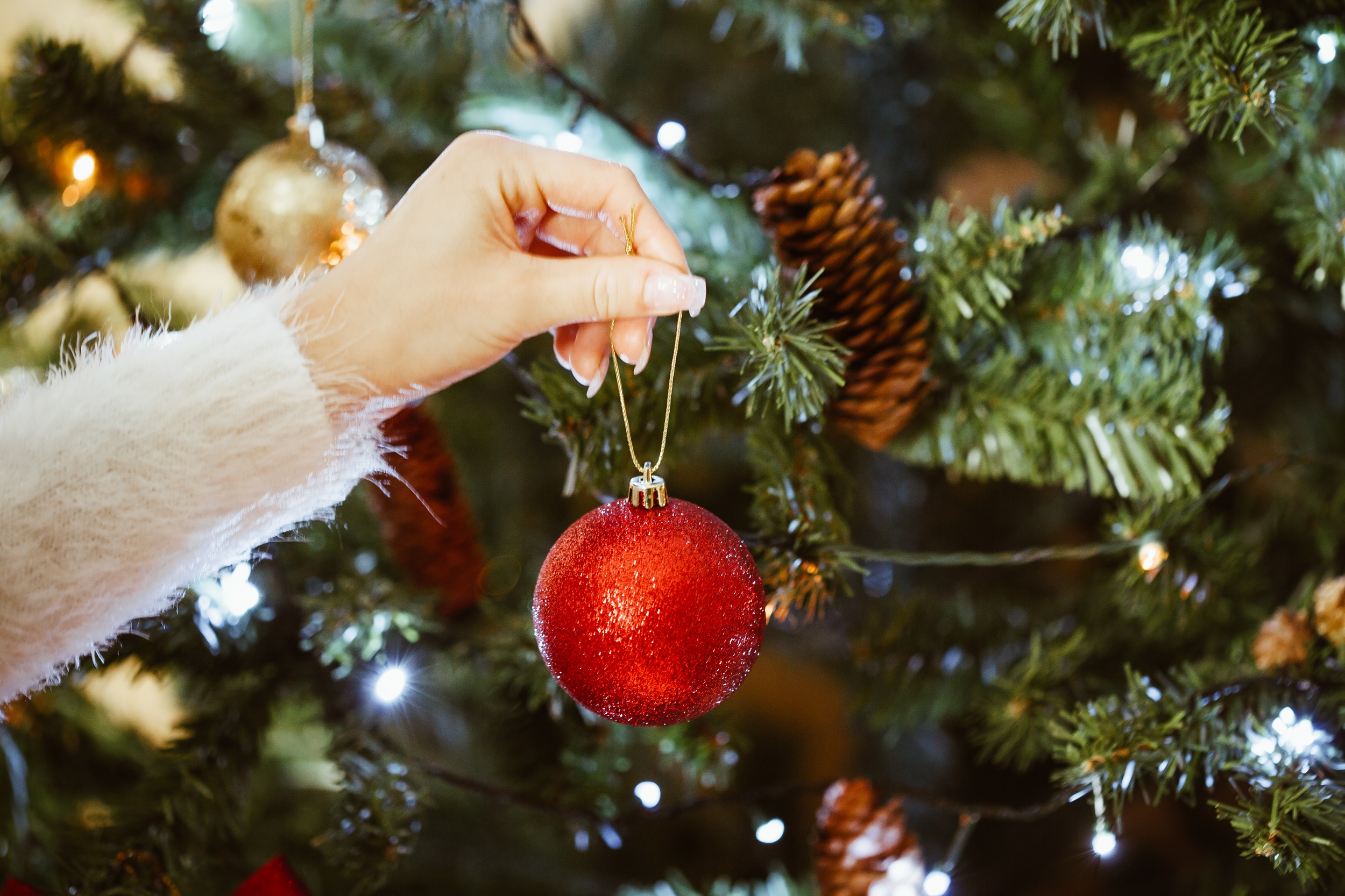 A Holiday Haiku » The Potentiality A Holiday Haiku » The Potentiality